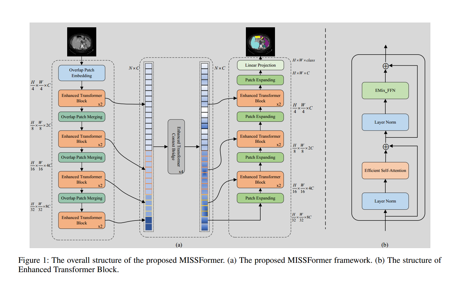 MISSFormer | 丹青两幻